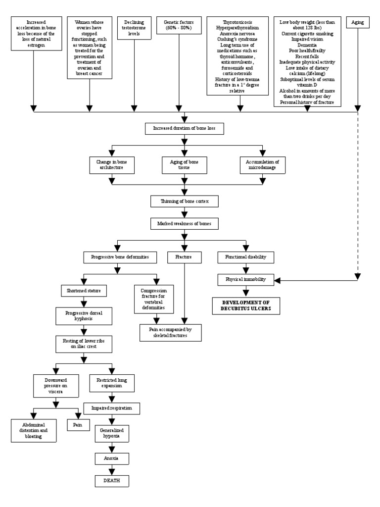 Pathophysiology Osteoporosis | Robot | Robotics