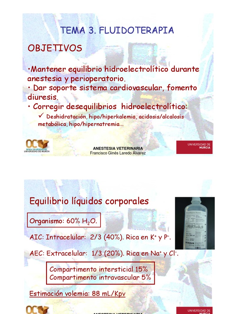 Fluidoterapia Ocw Pdf Deshidración Diarrea