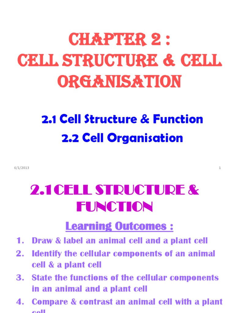 Bio f4 c2 Cells | PDF | Tissue (Biology) | Cell (Biology)