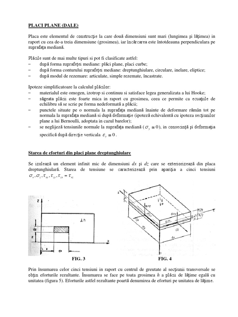 07 Placi Plane | PDF