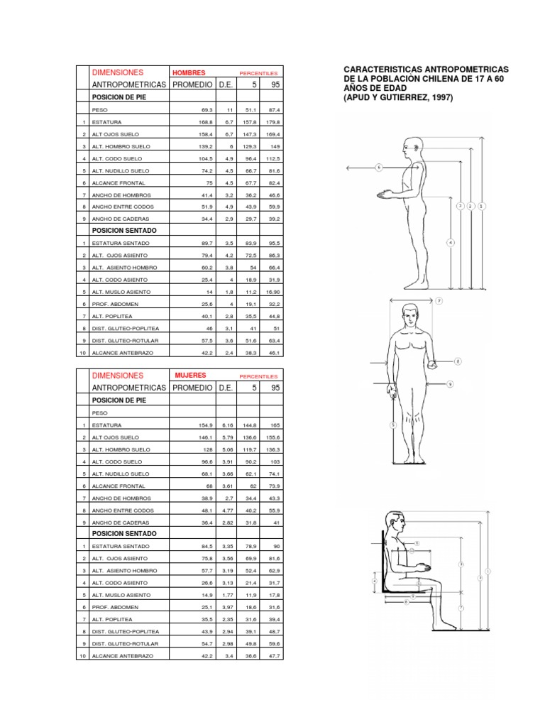 Dimensiones Antropométricas Chile 17-60 Años | PDF