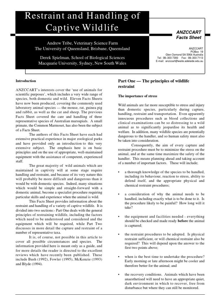 Restraint Techniques for Captive Wildlife | PDF | Anesthesia | Medical ...