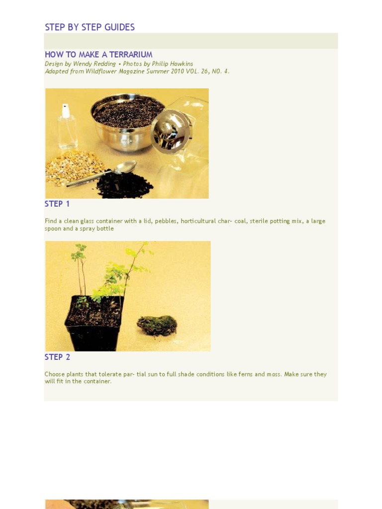 Step by Step Guides Terrariums | PDF
