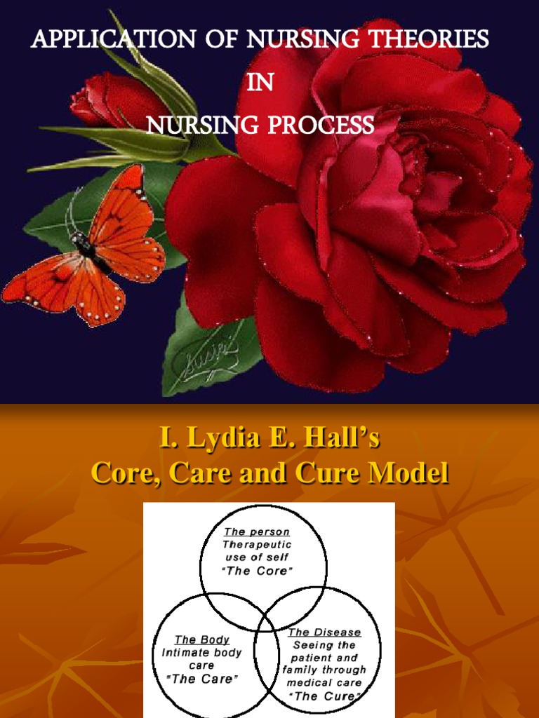 Core, Care, Cure Model | PDF | Health Care | Nursing