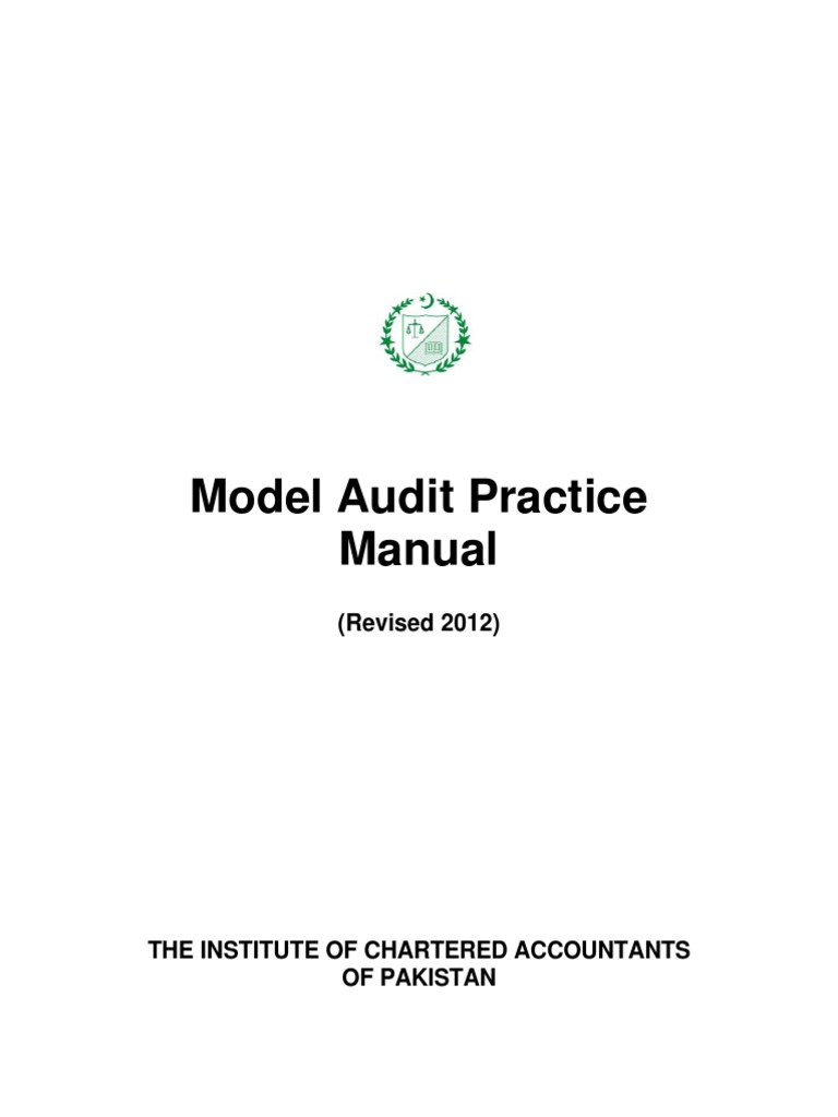 Audit Practice Manual | PDF | Audit | Financial Statement