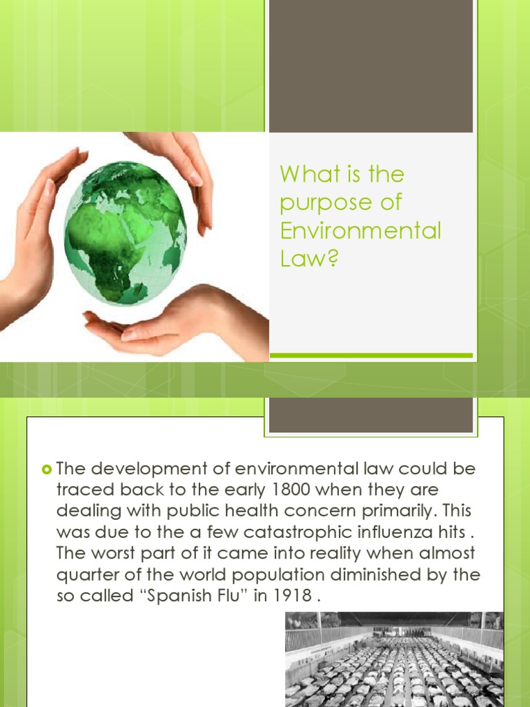 What Is The Purpose of Environmental Law | PDF | Environmental Law ...