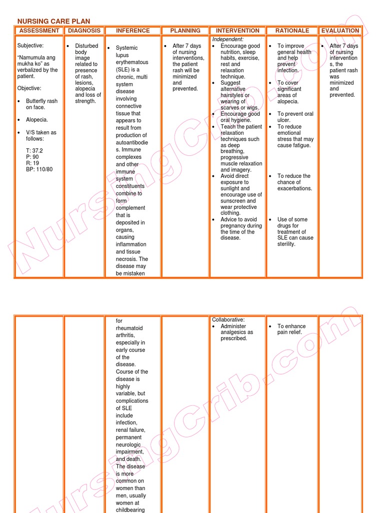 Nursing Care Plan Systemic Lupus Erythematous (SLE) | PDF | Systemic ...
