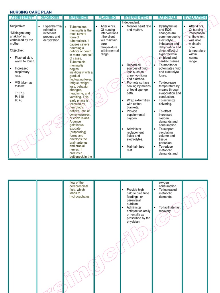 Nursing Care Plan Pedia TB Meningitis | Tuberculosis | Meningitis