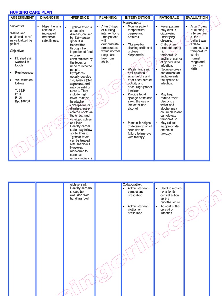 Nursing Care Plan Typhoid Fever | PDF | Fever | Infection