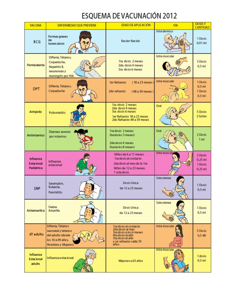 Esquema de Vacunacion PAI 2012 | PDF | Relaciones personales, crianza y desarrollo personal