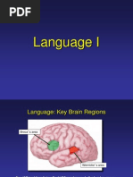 Quick Aphasia Battery (QAB) : 1. Level of Consciousness | PDF | Speech ...