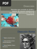 Antrectomia | PDF | Cirugía | Estómago