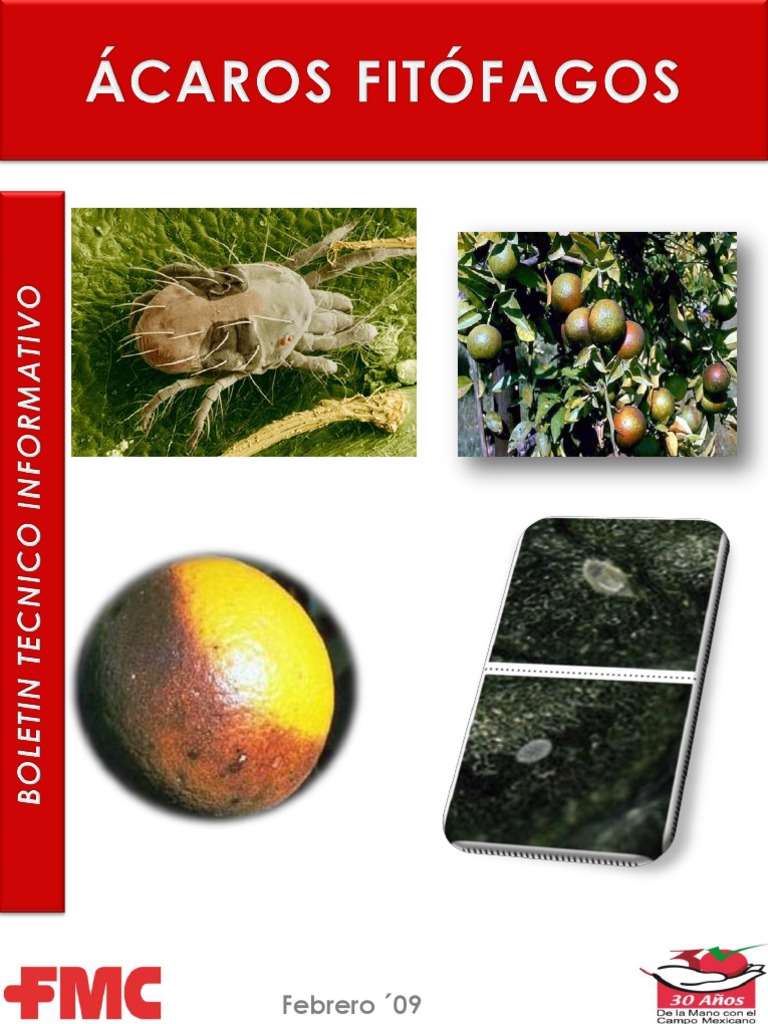 acaros_fitofagos | Agricultura | Plantas