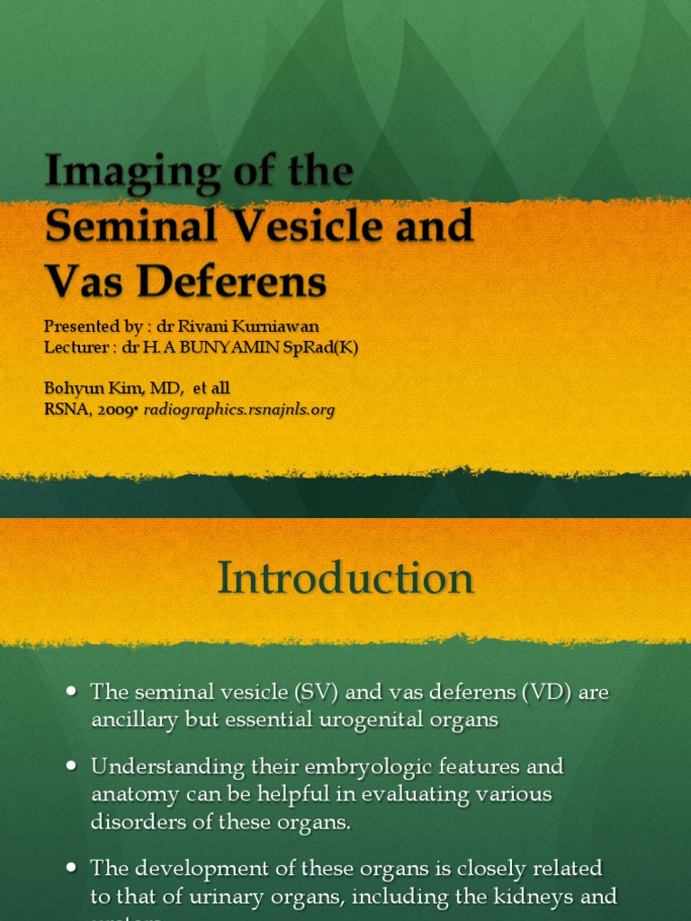 Imaging Vesika Seminalis Dan Vas Deferen | Download Free PDF ...