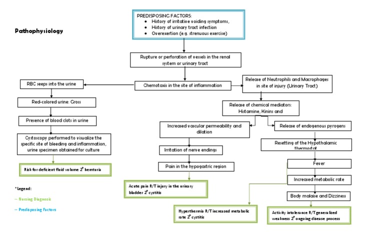 Pathophysiology: Risk For Deficient Fluid Volume 2 Hemturia | PDF