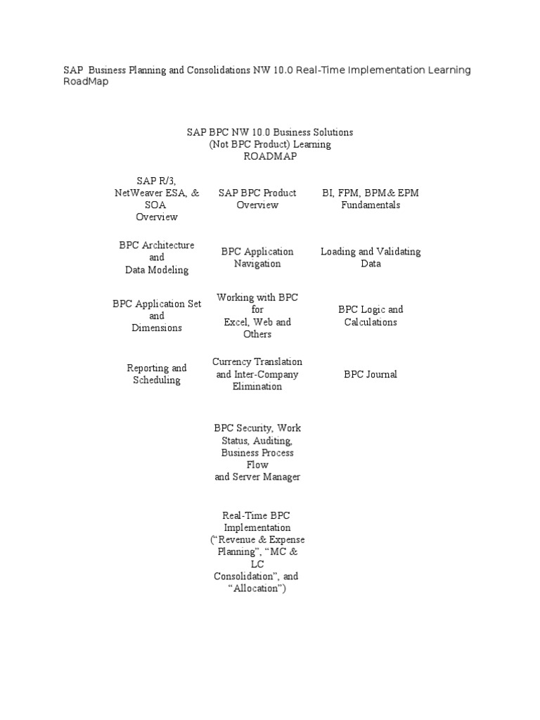Sap BPC | PDF | Business Intelligence | Microsoft Excel
