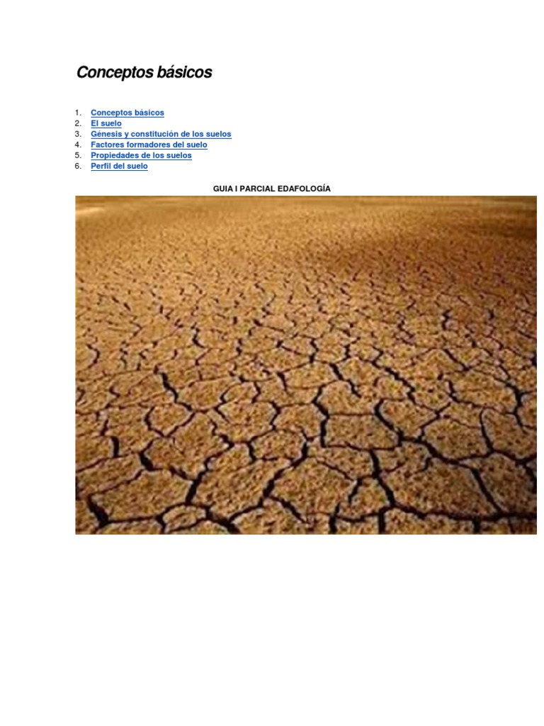 Conceptos Básicos Edafologia | PDF | Suelo | Roca (geología)