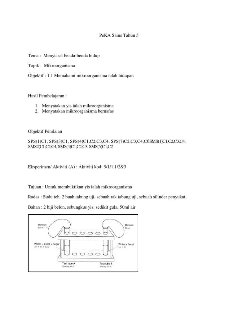 Peka Sains Tahun 5 | PDF