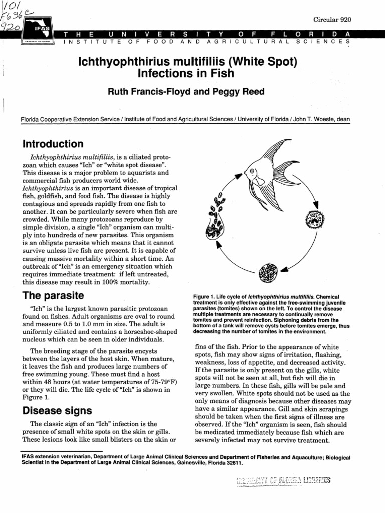 Ichthyophthirius Multifiliis (White Spot) Infections in Fish | PDF ...
