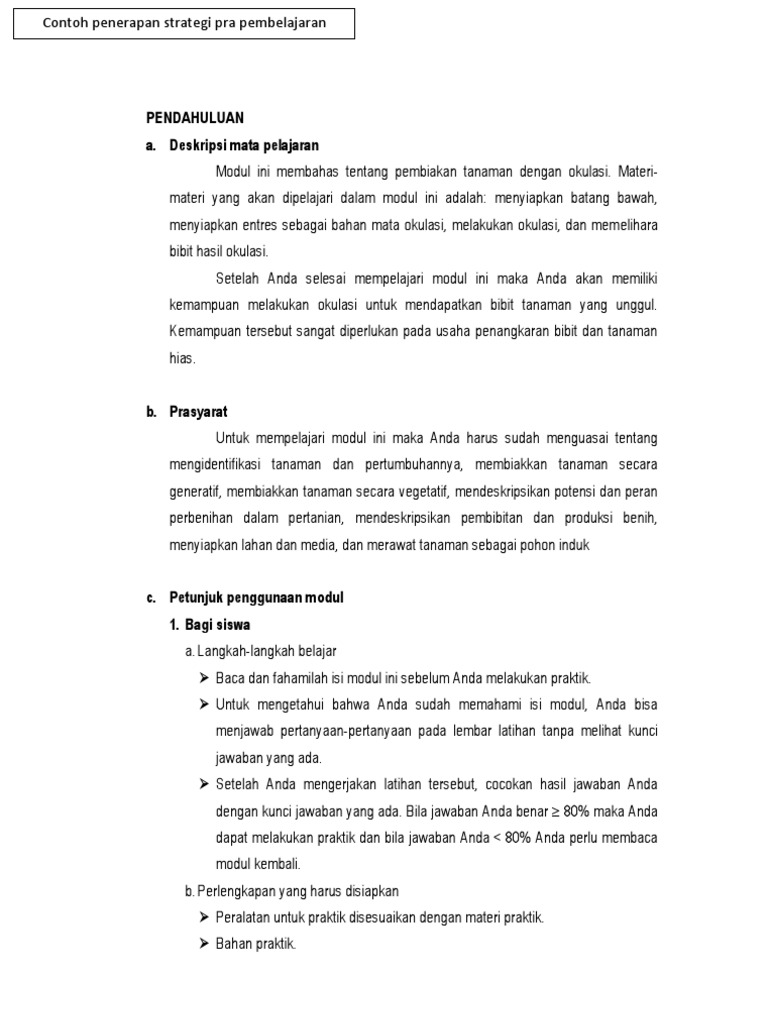 Contoh Modul Strategi Pra | PDF