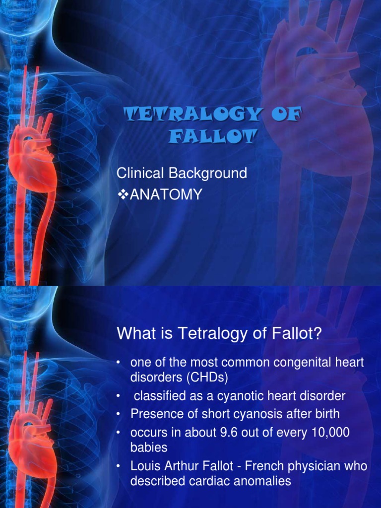 Tetralogy of Fallot: Clinical Background Anatomy | PDF