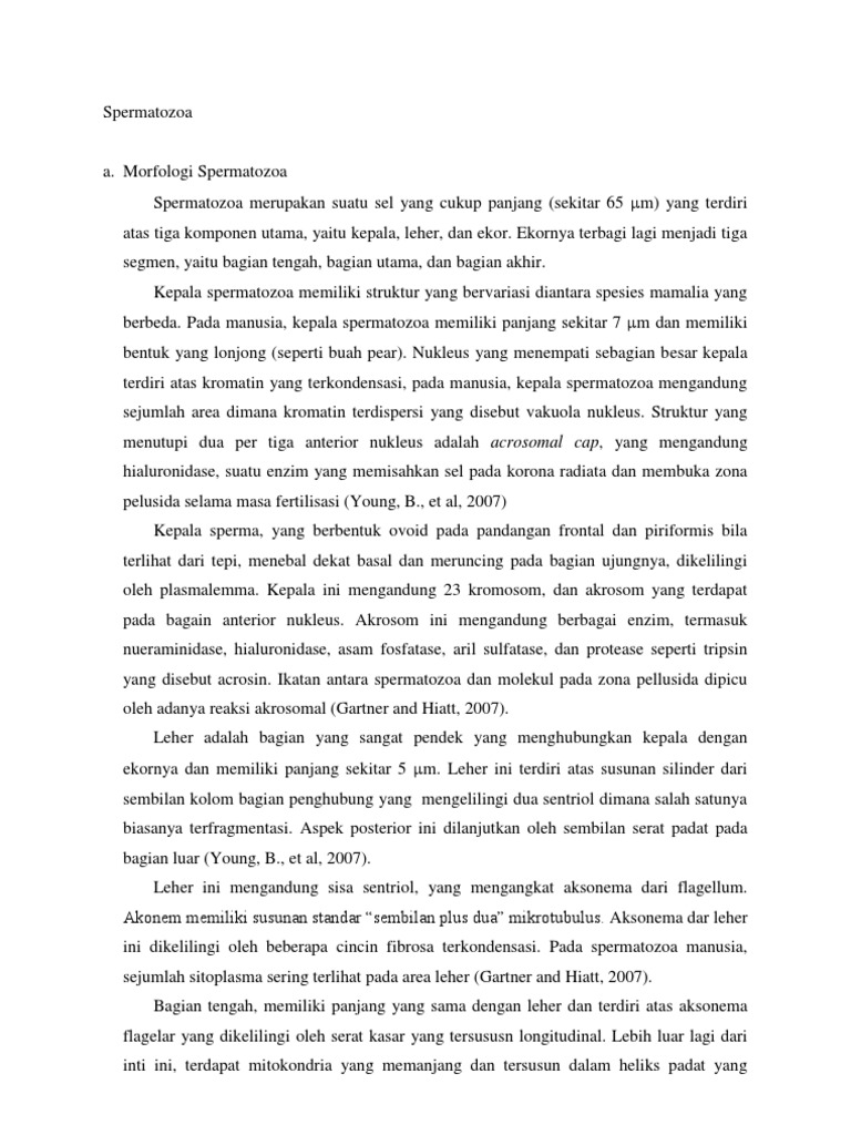 Spermatozoa | PDF