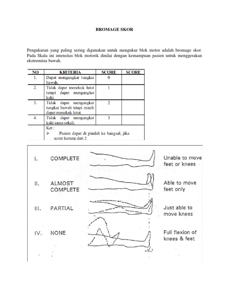 Bromage Score | PDF