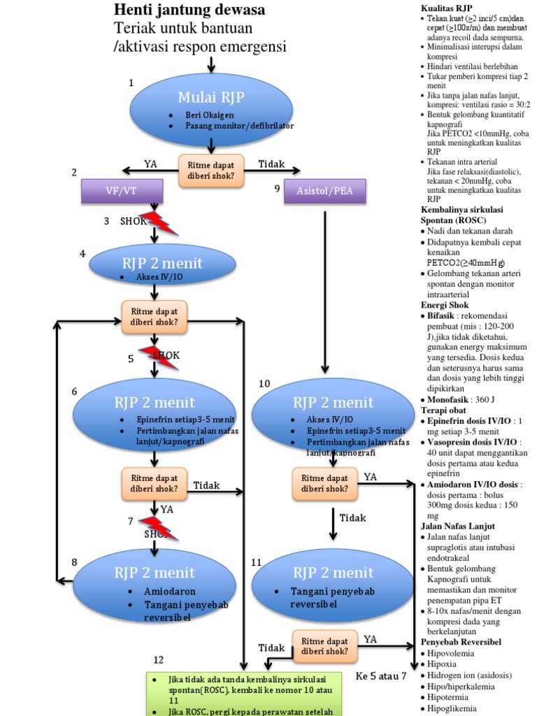 Algoritma Resusitasi Jantung Paru | PDF