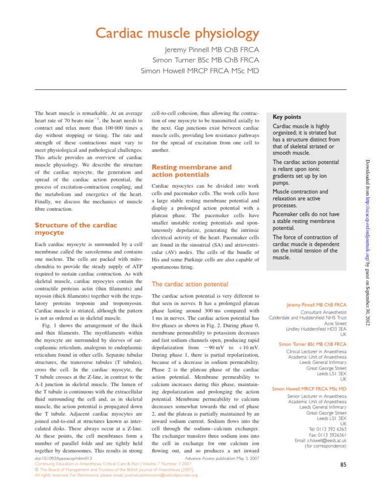 Cardiac Muscle Potential | PDF