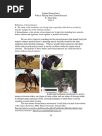 Basic Horse Training | PDF | Equidae | Horses