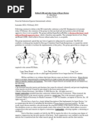 Pony Club C Test | PDF | Horse Gait | Horses