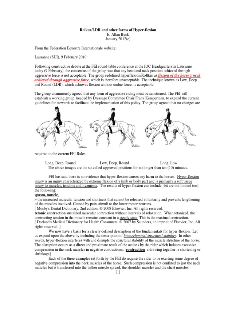 Rolkur-LDR and Other Forms of Hyper-Flexion | Dressage | Horses