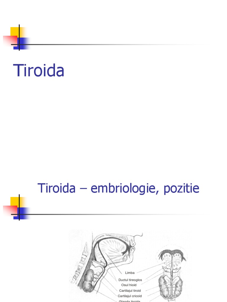 Curs Tiroida Studenti | PDF