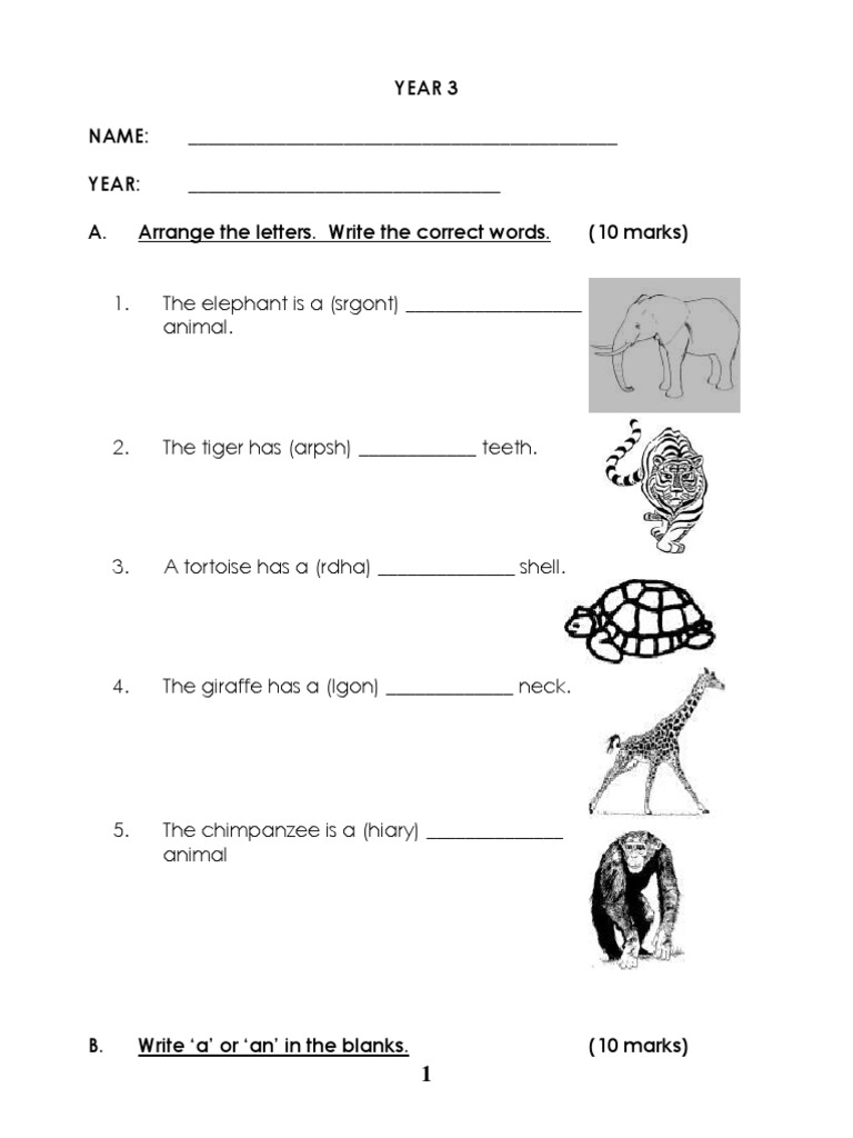 English Year 3 PDF | PDF