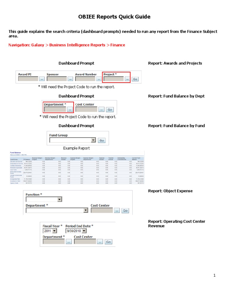 Obiee Reports Guide | PDF