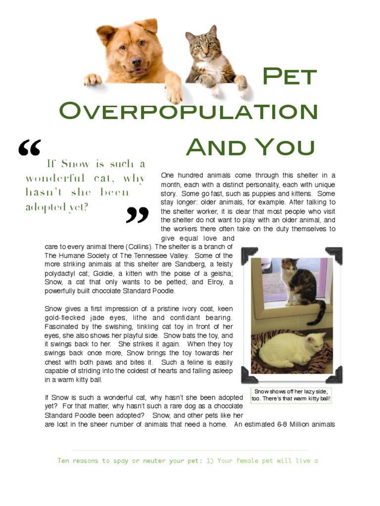 Pet Overpopulation and You | PDF | Neutering | Dogs