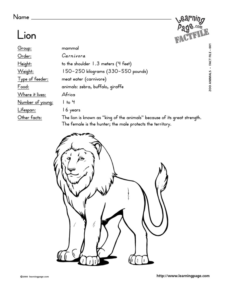 Zoo Animals Fact Files | PDF | Mammals | Elephant