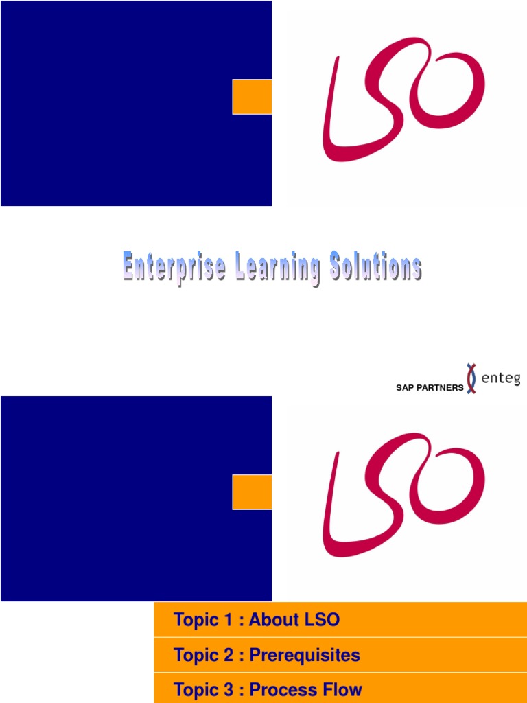 Learning Solutions | PDF | Sap Se | Learning