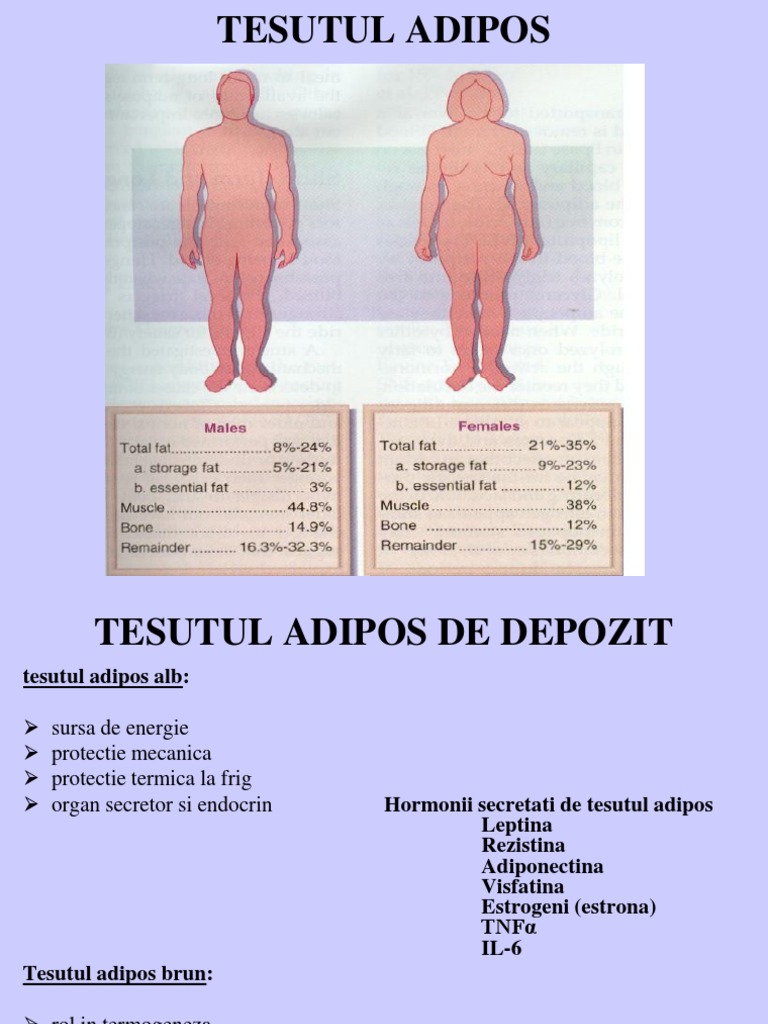 Tesut Adipos | PDF