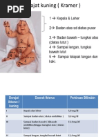 TTV Normal Bayi Baru Lahir dan Anak | PDF