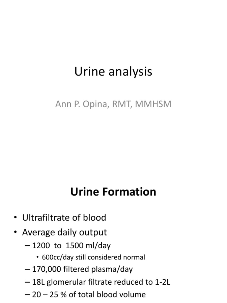 Urine Analysis | PDF | Kidney | Urinary System