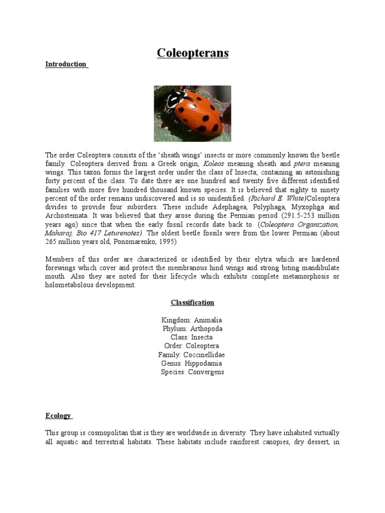 An In-Depth Exploration of Coleopteran Biology: From Anatomy and ...