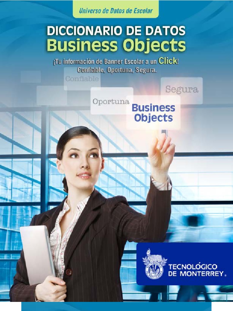 Bussiness Object Dictionary | PDF | Maestros | Ciencias de la Información