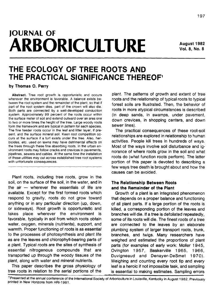 Perry 1982 | PDF | Root | Trees
