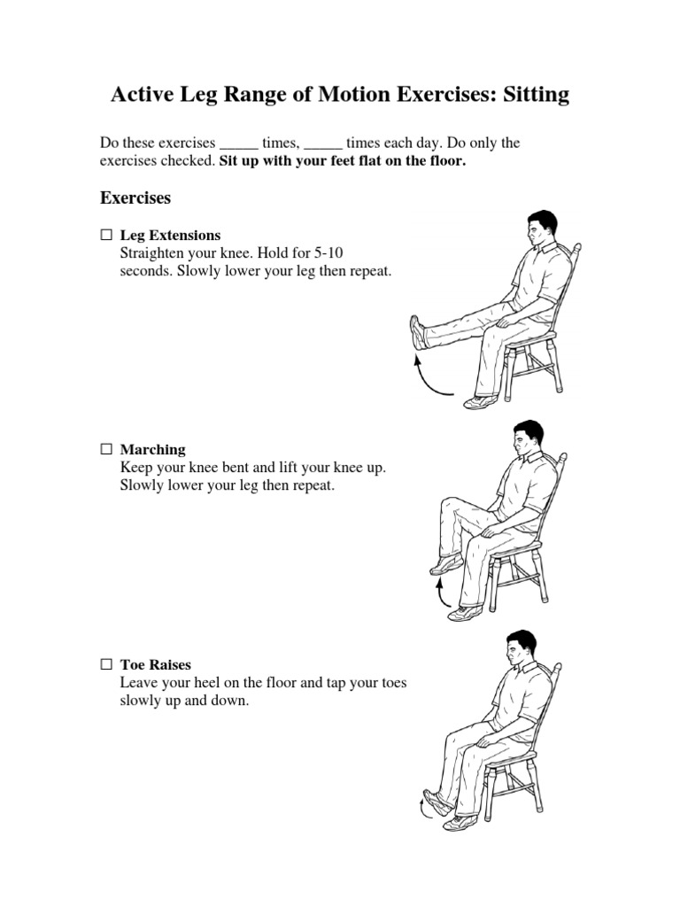 Active Leg Rom Sitting | PDF