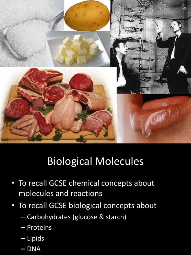 Understanding Biological Molecules | PDF | Science & Mathematics ...