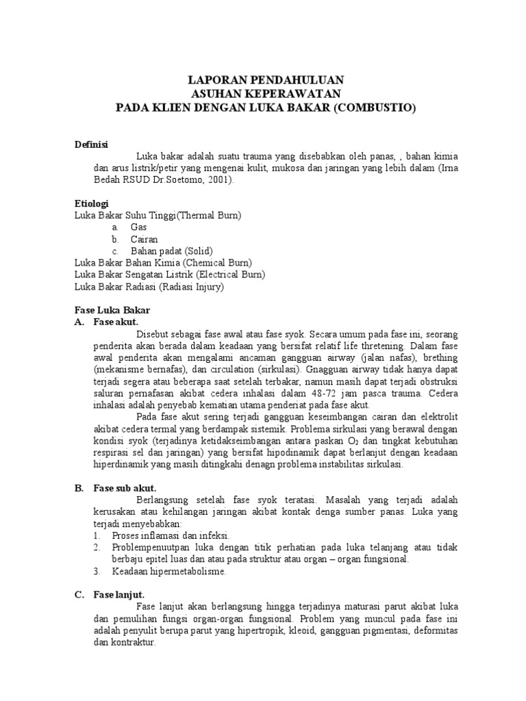 LP Combustio (Luka Bakar) | PDF