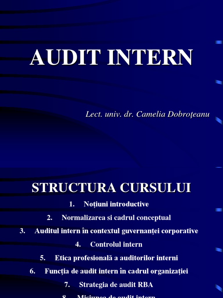 Audit Intern | PDF