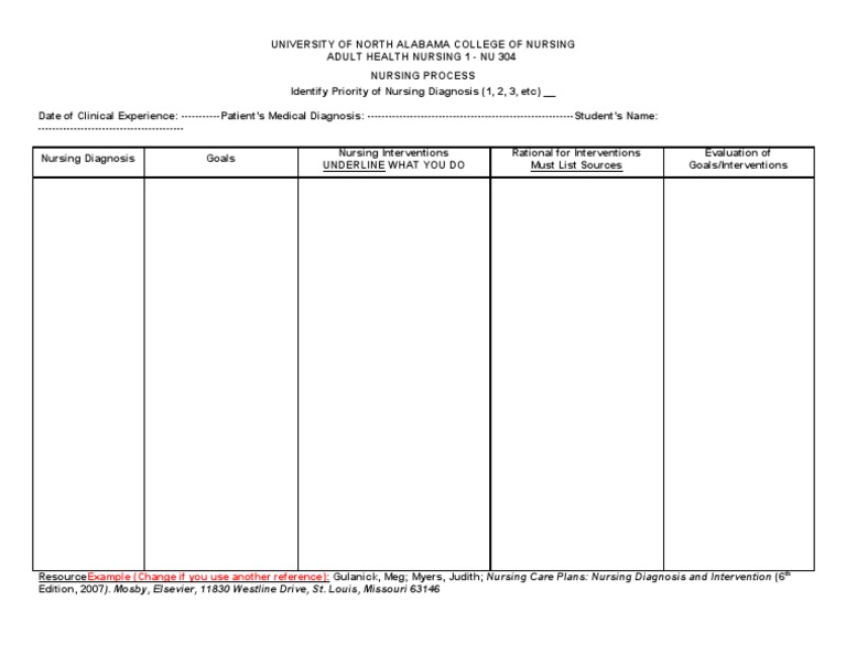 Blank Nursing Care Plan Template | PDF | Self-Improvement