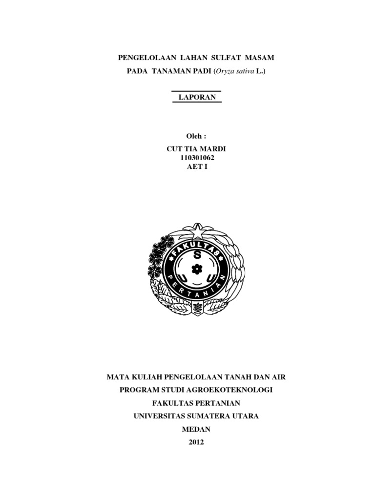 Pengelolaan Lahan Sulfat Masam Padi | PDF